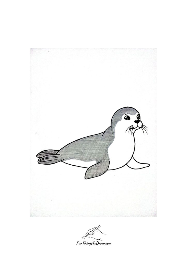 How to Draw a Seal? - Fun Things To Draw