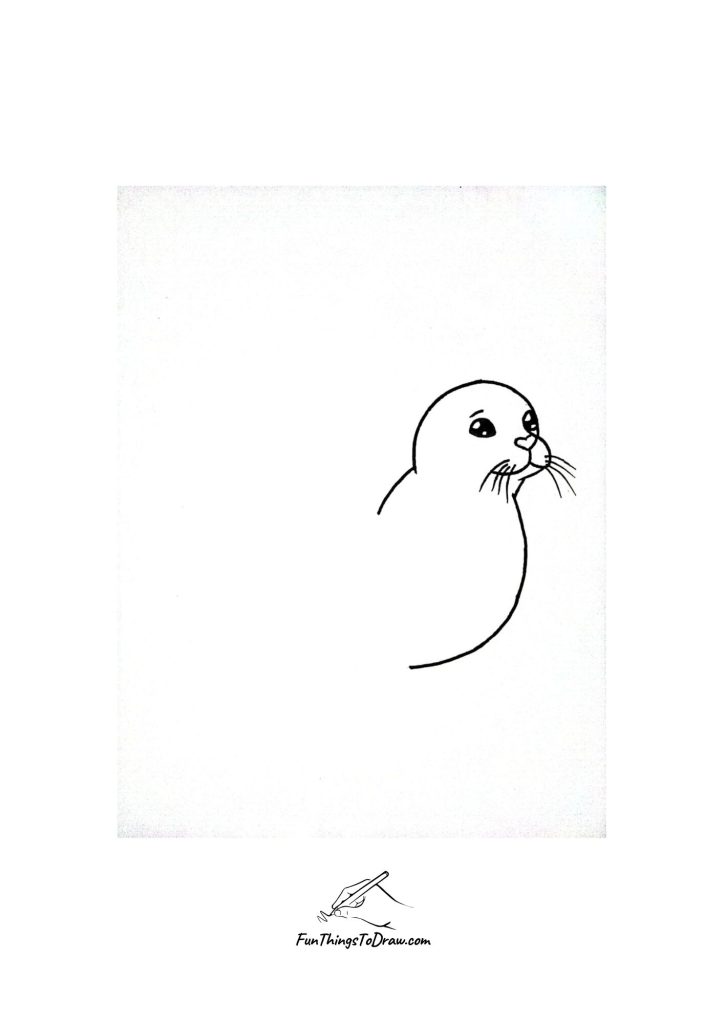 How to Draw a Seal? - Fun Things To Draw