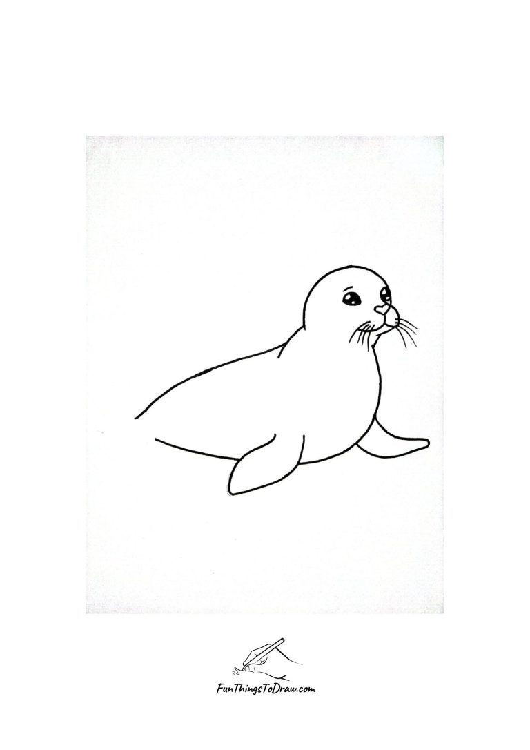 How to Draw a Seal? - Fun Things To Draw