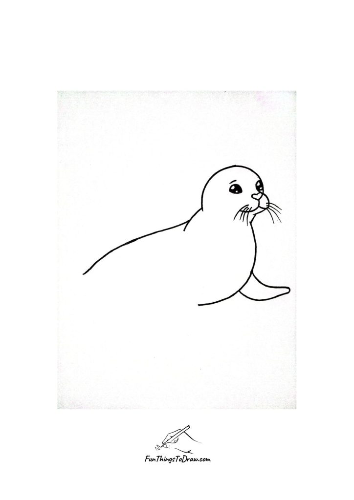 How to Draw a Seal? - Fun Things To Draw