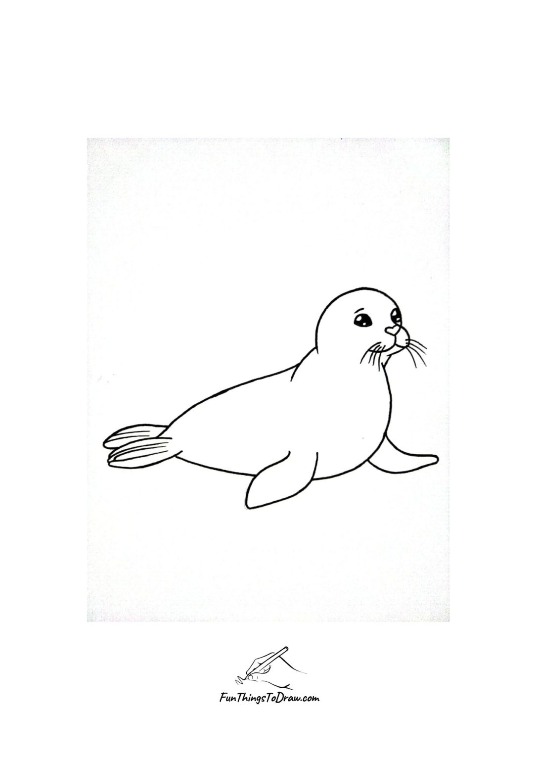 How to Draw a Seal? - Fun Things To Draw