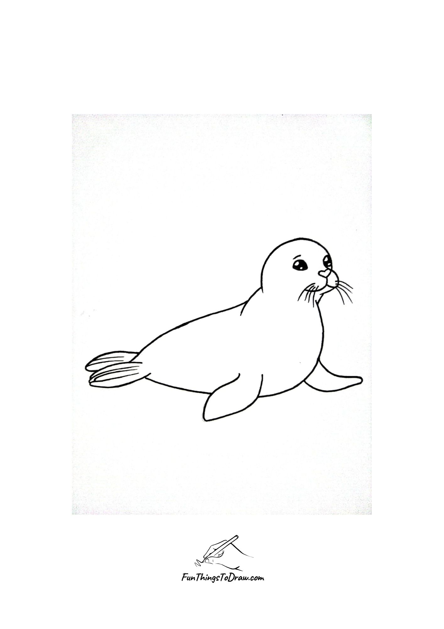 How to Draw a Seal? - Fun Things To Draw