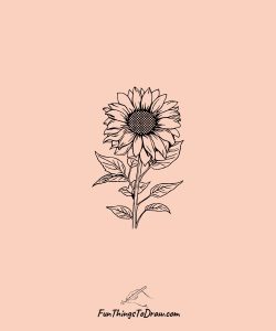 August Drawing Ideas - Fun Things To Draw