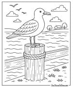 50 August Coloring Pages (Free Printables) - Fun Things To Draw