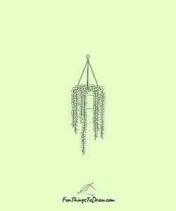 Succulent Drawings (25 Easy Ideas) - Fun Things To Draw