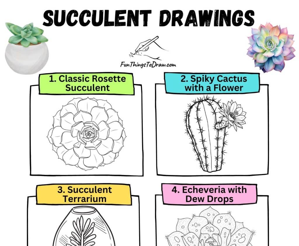 Succulent Drawings (25 Easy Ideas) - Fun Things To Draw