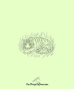 33 Easy Tiger Drawing Ideas - Fun Things To Draw
