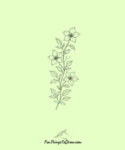 Flower Vines Drawing (35 Easy Ideas) - Fun Things To Draw