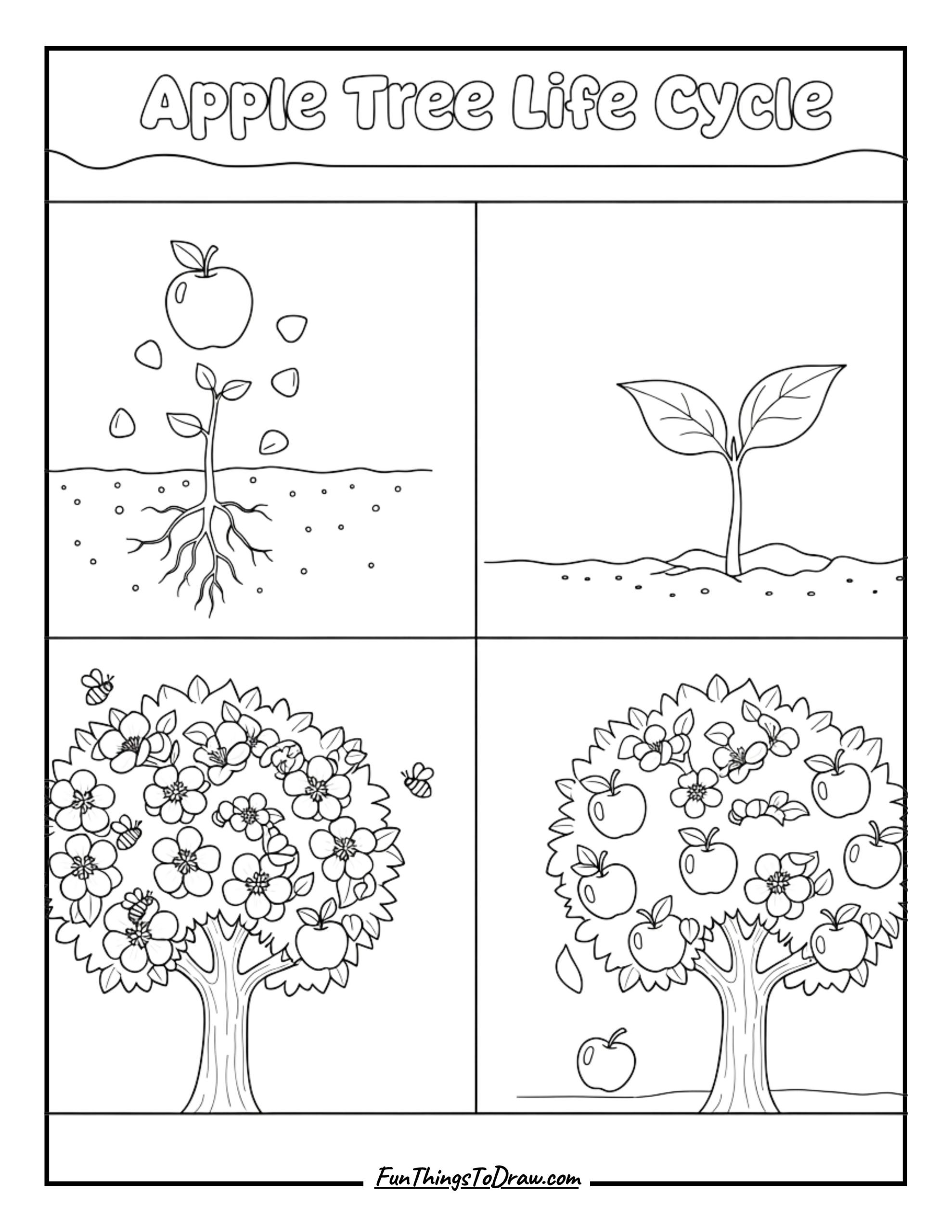 38 Apple Coloring Pages (Free Printable PDF) - Fun Things To Draw