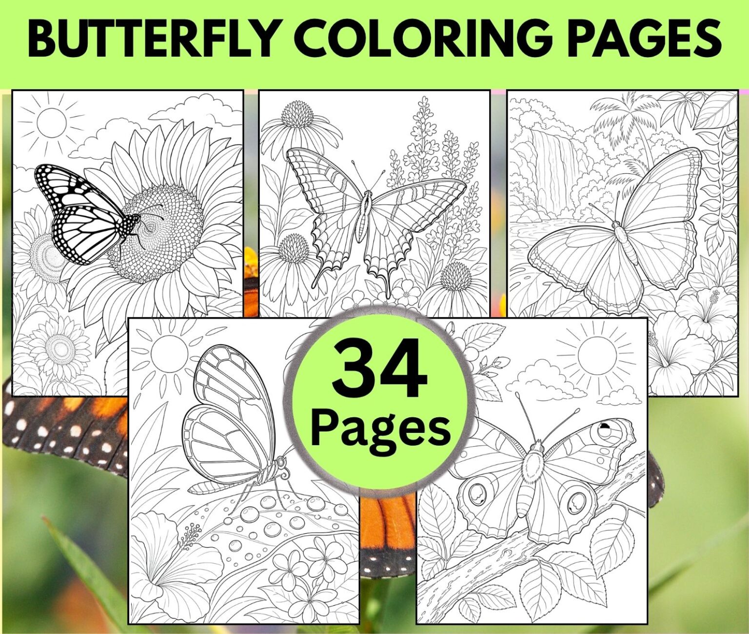 Butterfly Coloring Pages for Adults (34 Free Printable Sheets) - Fun ...